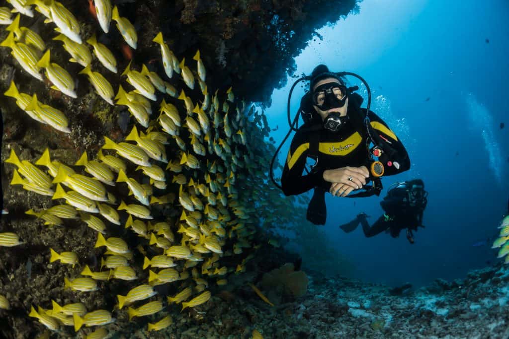 21 Best Scuba Diving Tips For Beginners