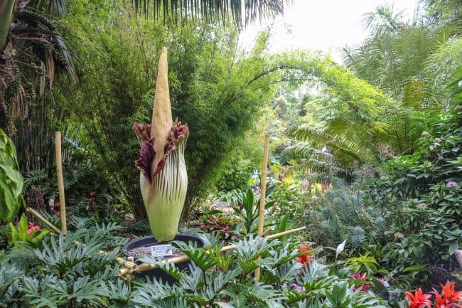 19 Fun Things To Do In Encinitas, California (Local's Guide ...