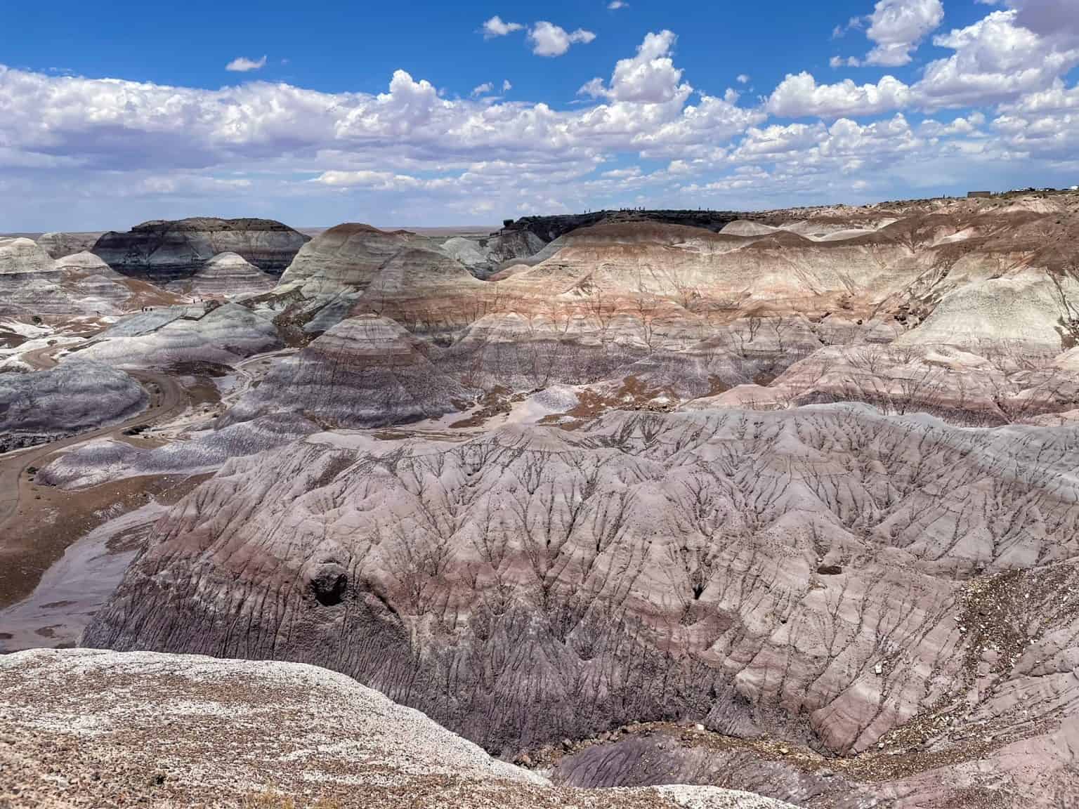 15 Best Things To Do In Petrified Forest National Park: One Day Guide ...