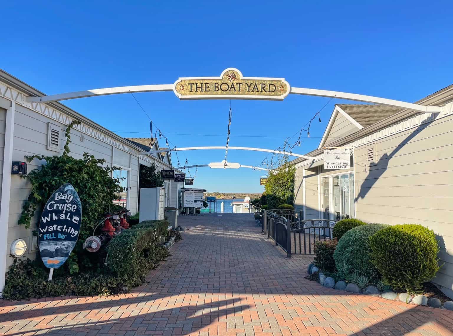 15 Fun Things To Do In Morro Bay, California’s Hidden Gem - Traveling Ness