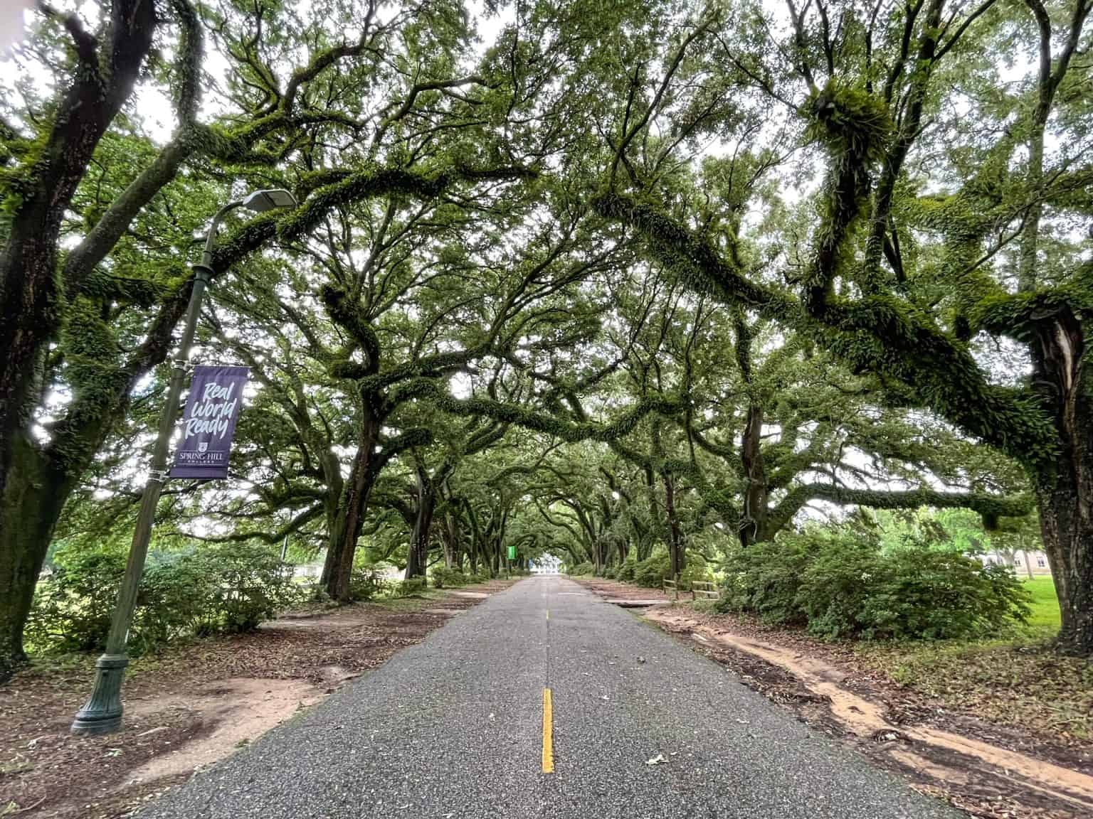 21 Fun Things To Do In Mobile, Alabama On A Weekend Getaway - Traveling ...