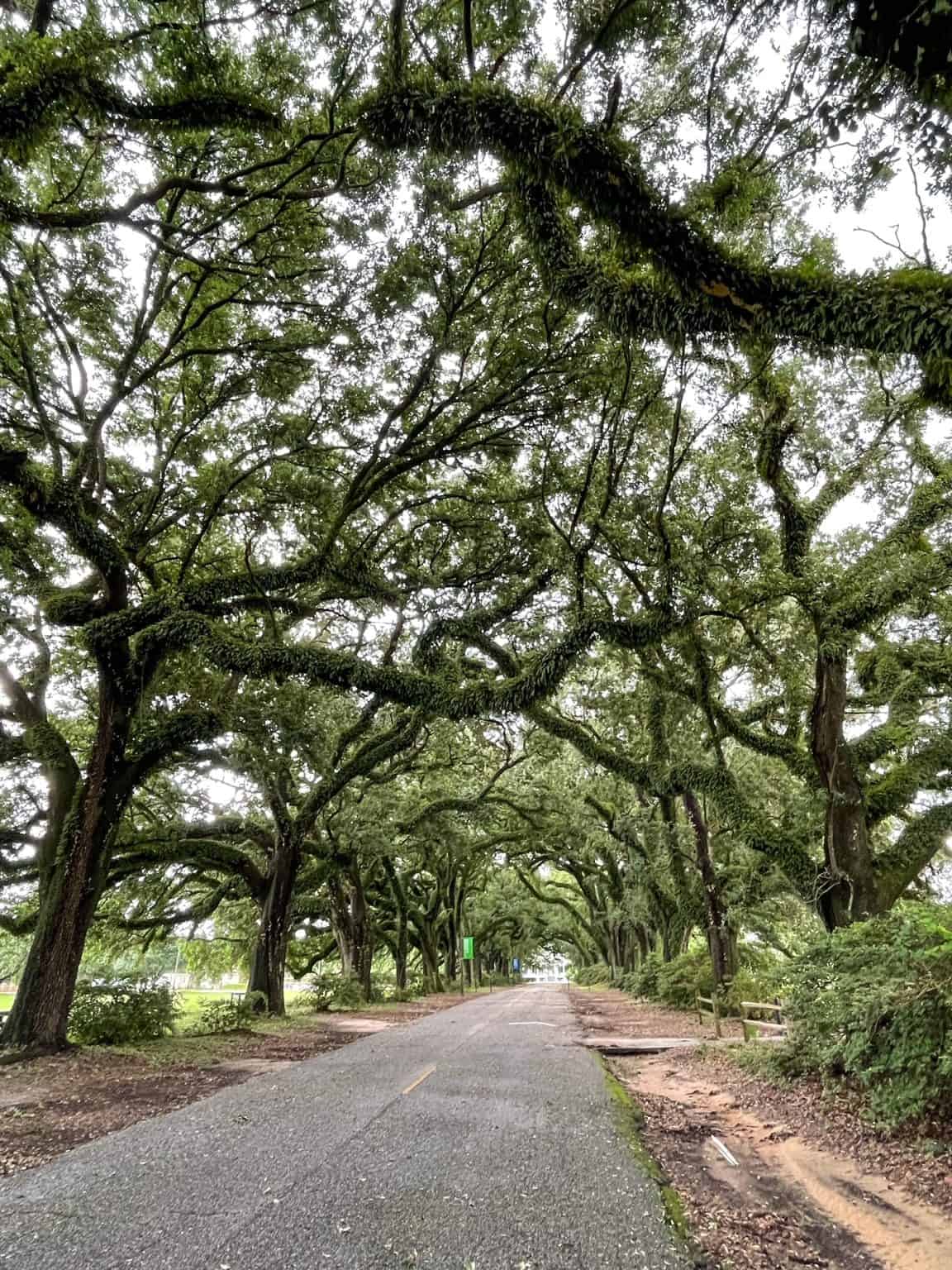 21 Fun Things To Do In Mobile, Alabama On A Weekend Getaway - Traveling ...