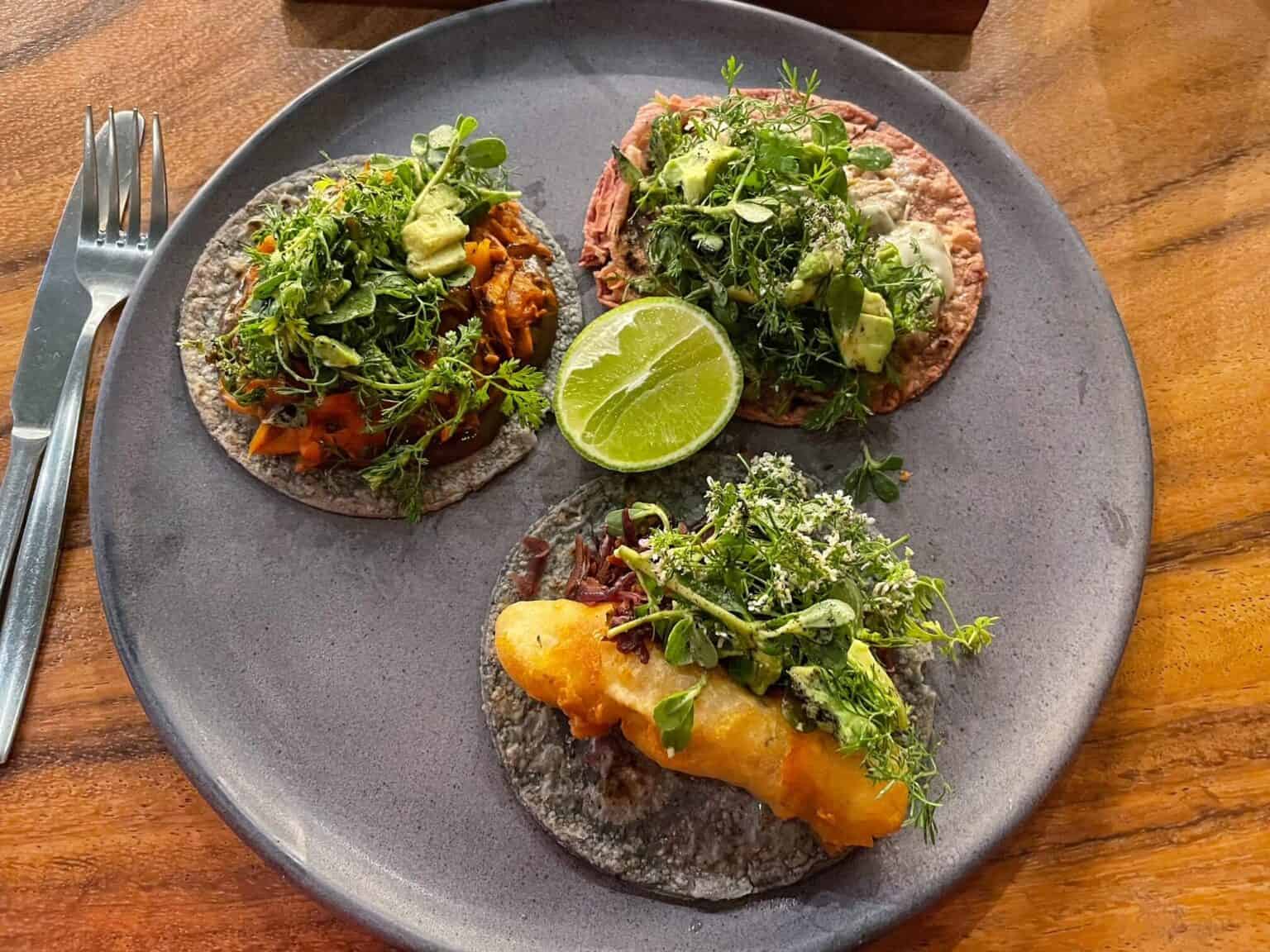Food From Oaxaca: 21 Traditional Dishes You Must Try - Traveling Ness