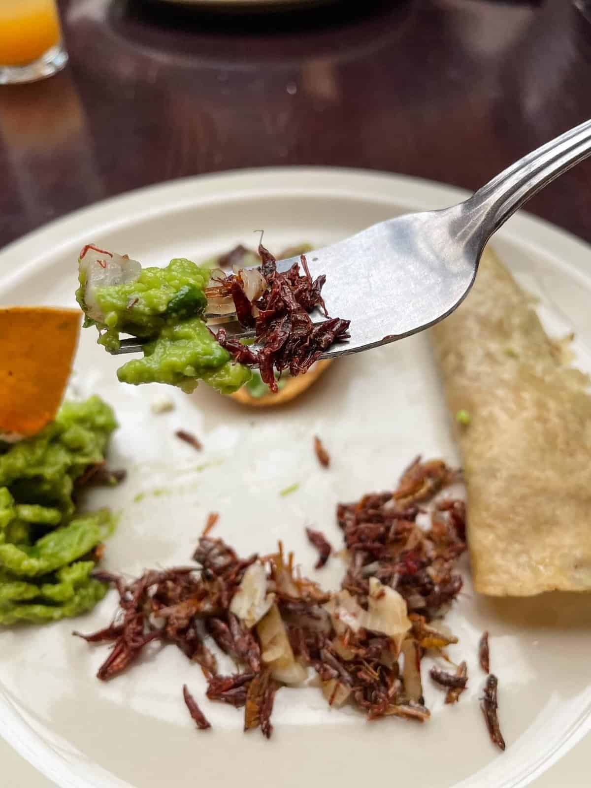 Food From Oaxaca: 21 Traditional Dishes You Must Try - Traveling Ness