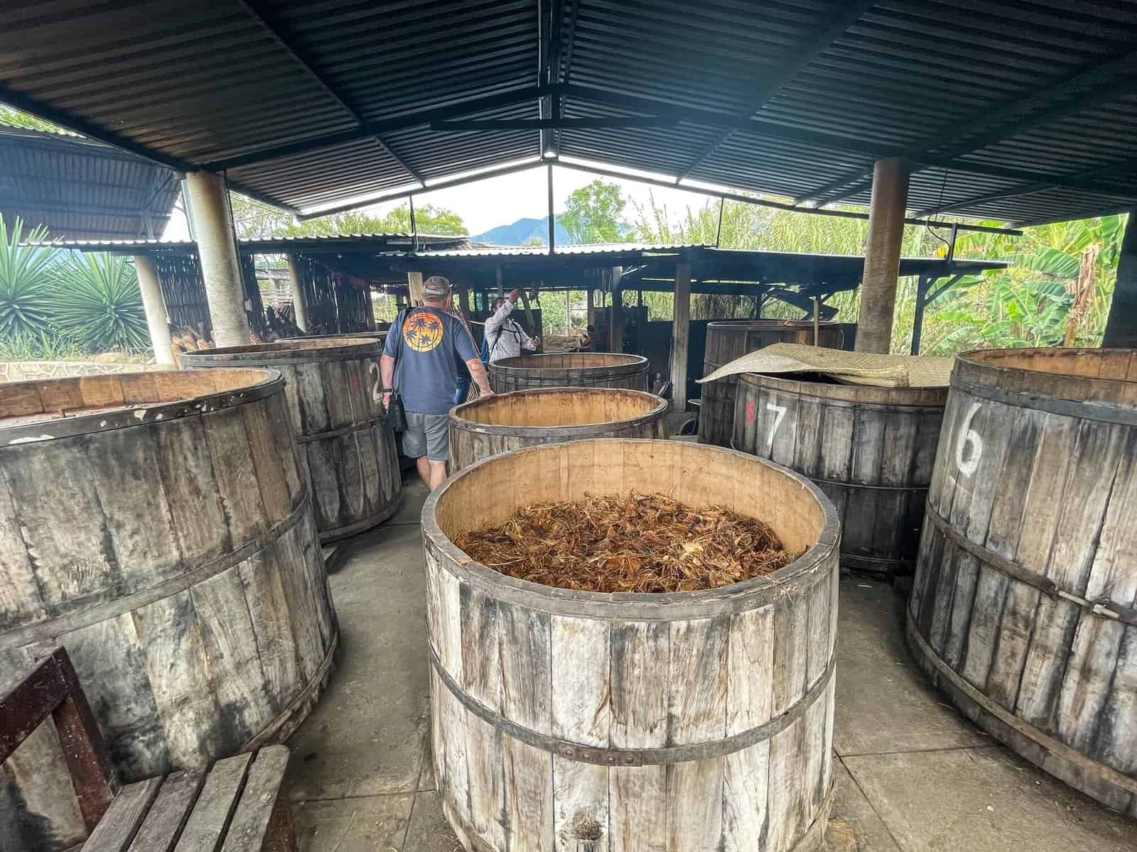 Oaxaca Mezcal Tour: The Best Guide To Touring A Palenque