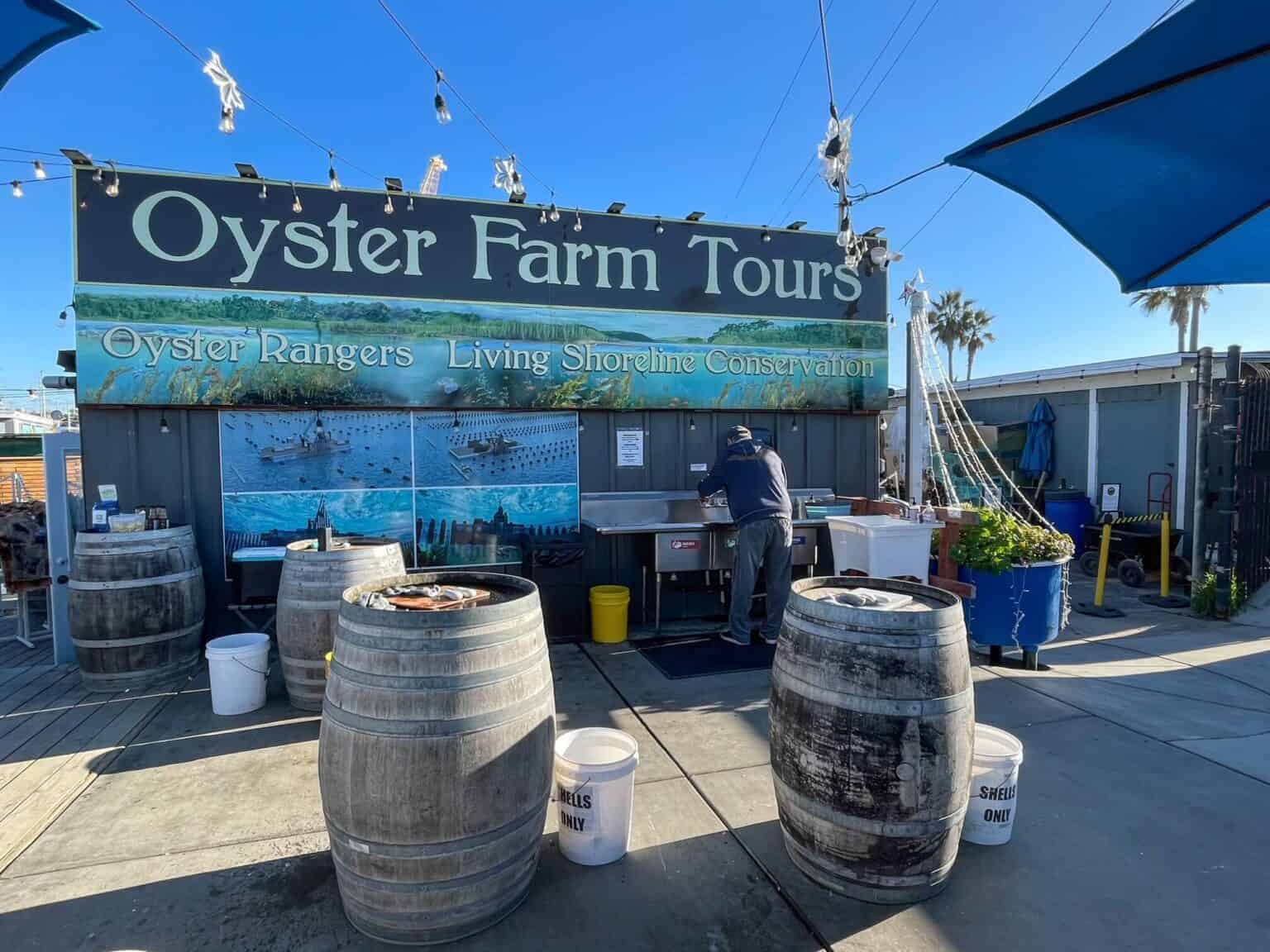 Carlsbad Oyster Farm Tour Guide + Learn To Shuck Your Own Oysters